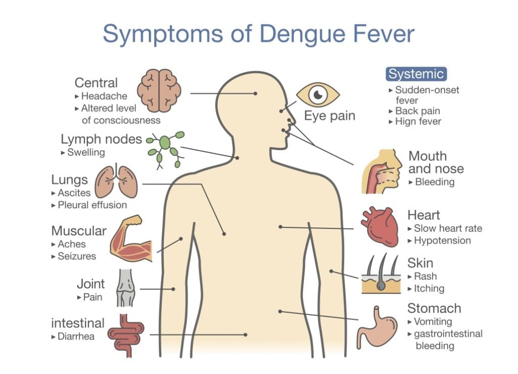 Pilot Program Testing And Educating Students About Dengue | St. John ...